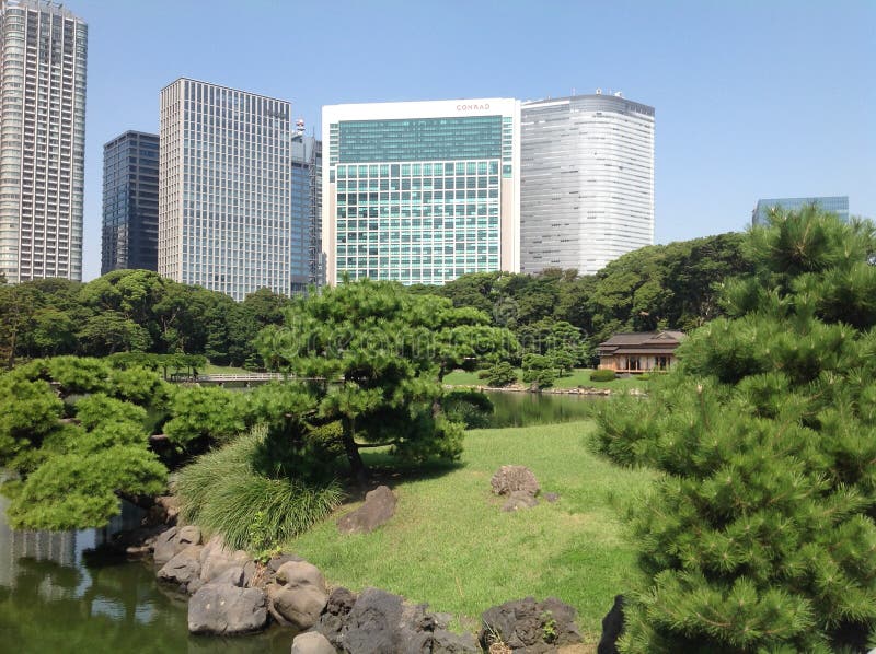 Trees in a Green Park in Tokyo Editorial Photo - Image of trees, tree ...