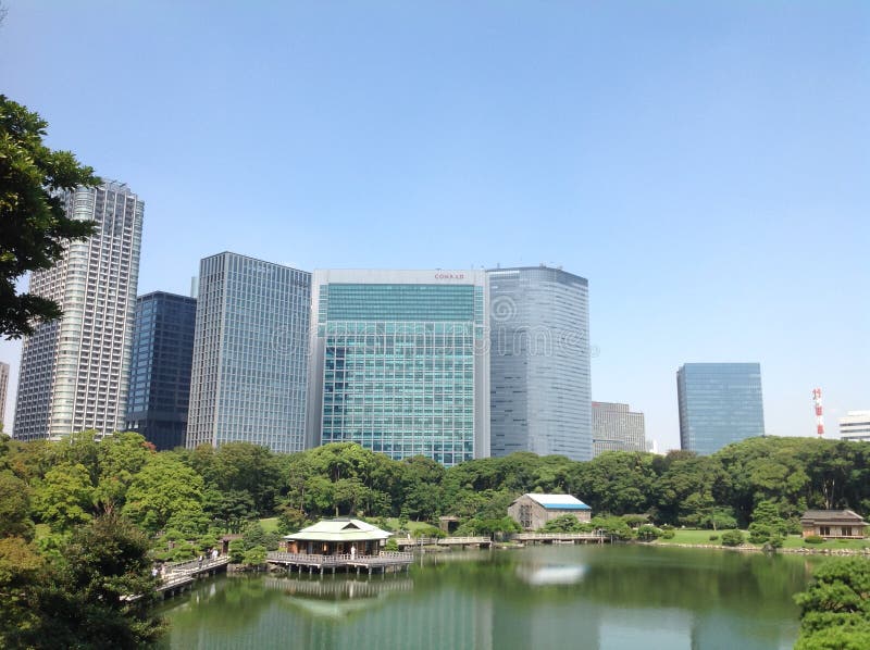 Trees in a Green Park in Tokyo Editorial Stock Photo - Image of large ...