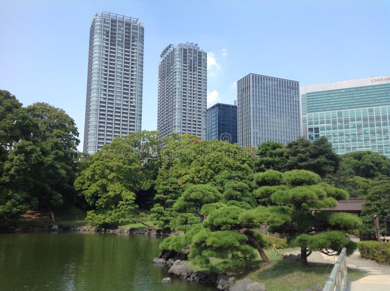 Trees in a Green Park in Tokyo Editorial Stock Photo - Image of tokyo ...