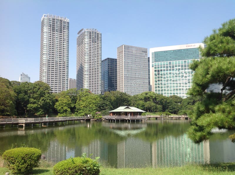 Trees in a Green Park in Tokyo Editorial Photography - Image of ...