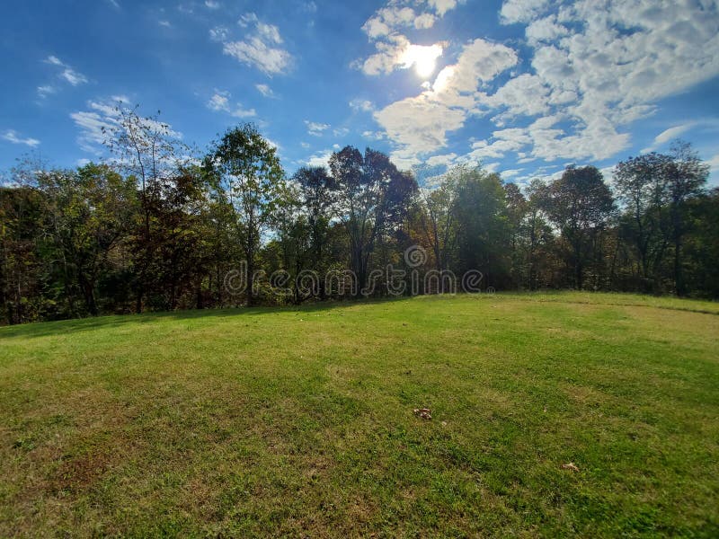 Trees in Green Pasture stock image. Image of life, green - 160934467