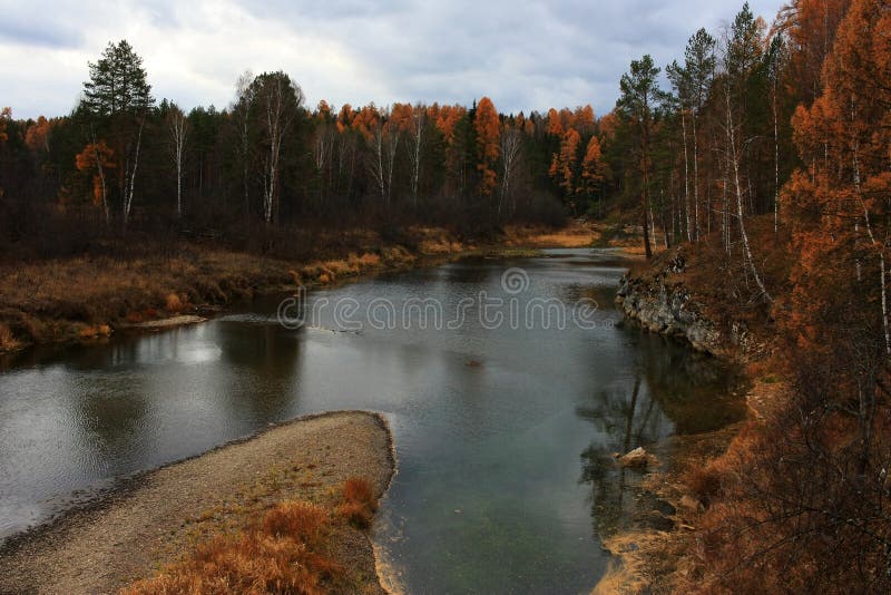 Trees Grow on the Banks of the River Stock Image - Image of background ...