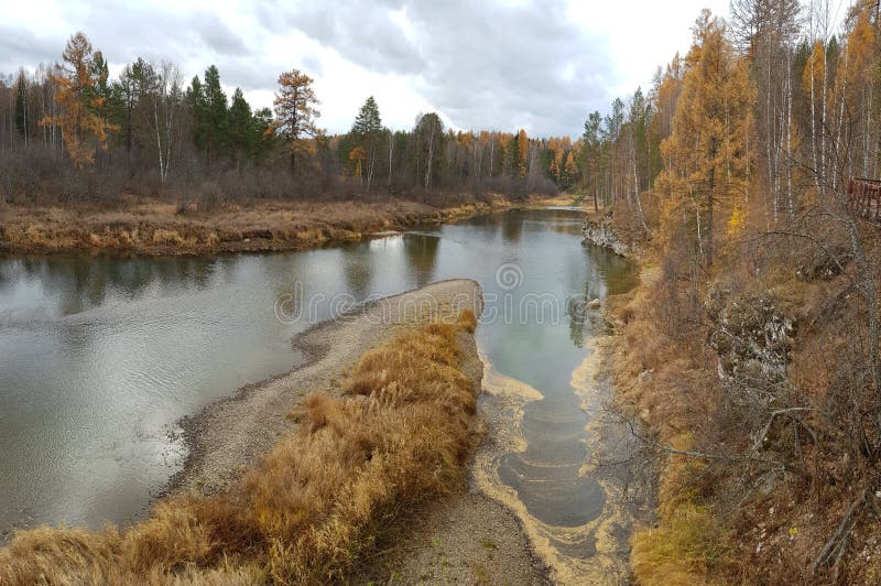 Trees Grow on the Banks of the River Stock Photo - Image of rural ...