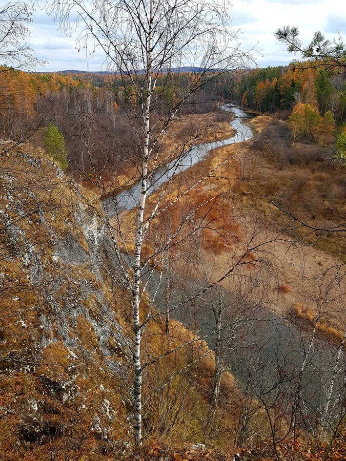Trees Grow on the Banks of the River Stock Photo - Image of leaves ...