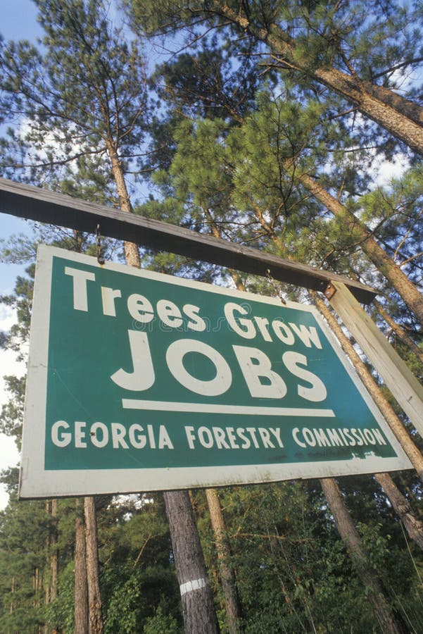 Trees grow jobs sign stock photo. Image of trees, grow - 26283584