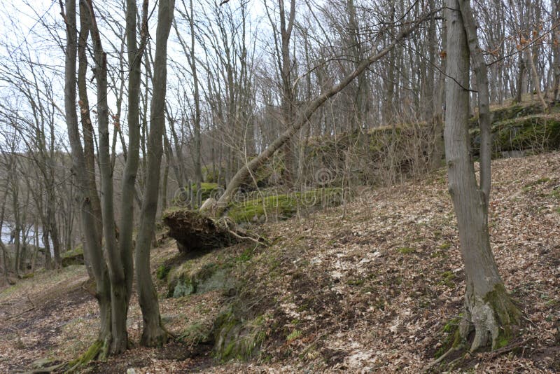 `GROW WIND ENERGY` ROAD SIGN AGAINST GREEN LANDSCAPE Stock Photo ...