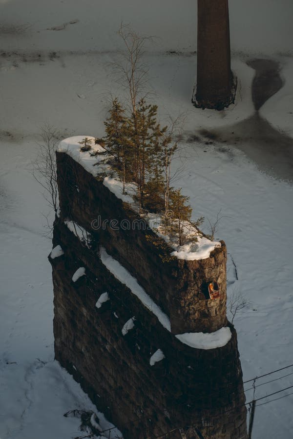 Trees Grow on the Support of a Broken Bridge Stock Image - Image of ...