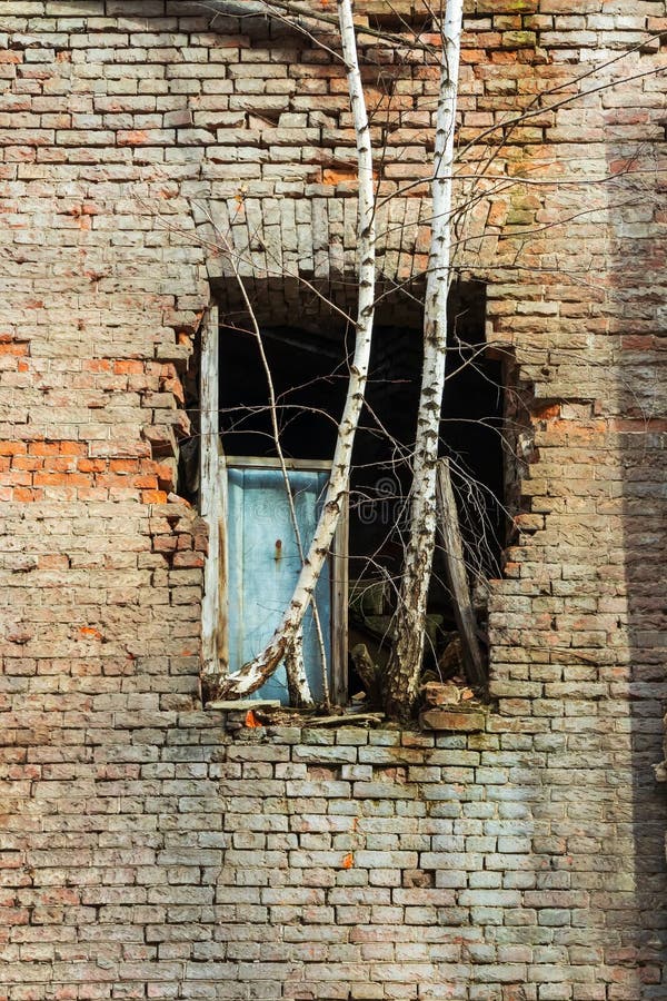 Trees Grow from the Window. Brick Wall Facade and Exterior of an Old ...