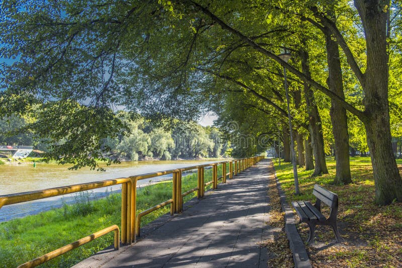 Trees Growing Along the Promenade Stock Photo - Image of outdoor, path ...