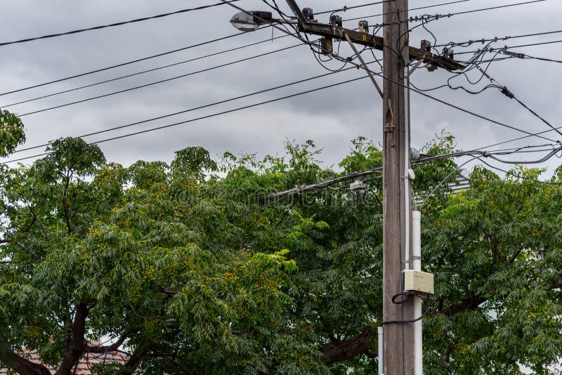 Trees Growing Around Power Lines Stock Photo - Image of line, equipment ... Trees Growing Around Power Lines Stock Photo - Image of line, equipment ...