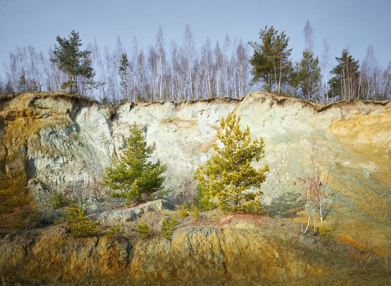 Trees Growing on a Cliff in Autumn. Stock Photo - Image of growing ...
