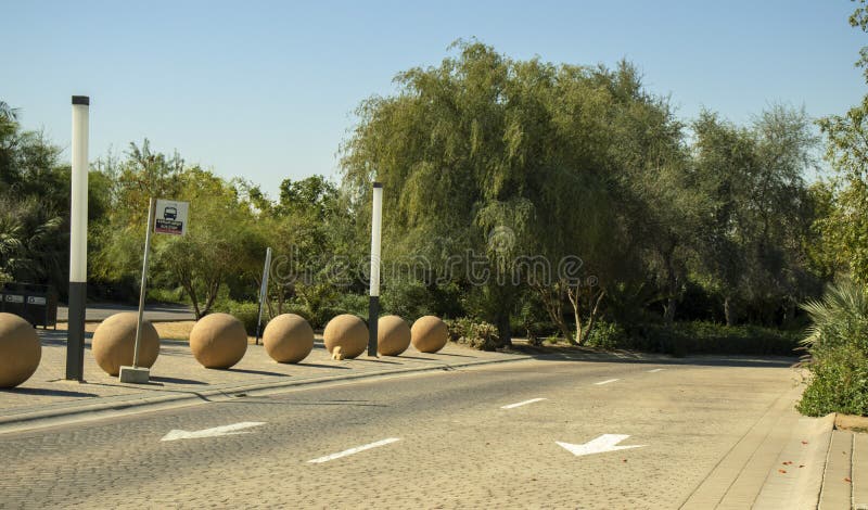 Trees Growing Next To the Road Stock Photo - Image of road, plants ...