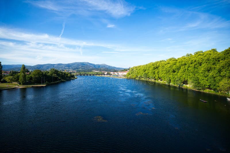 Trees Growing Next To the Water Under the Blue Sky Stock Photo - Image ...