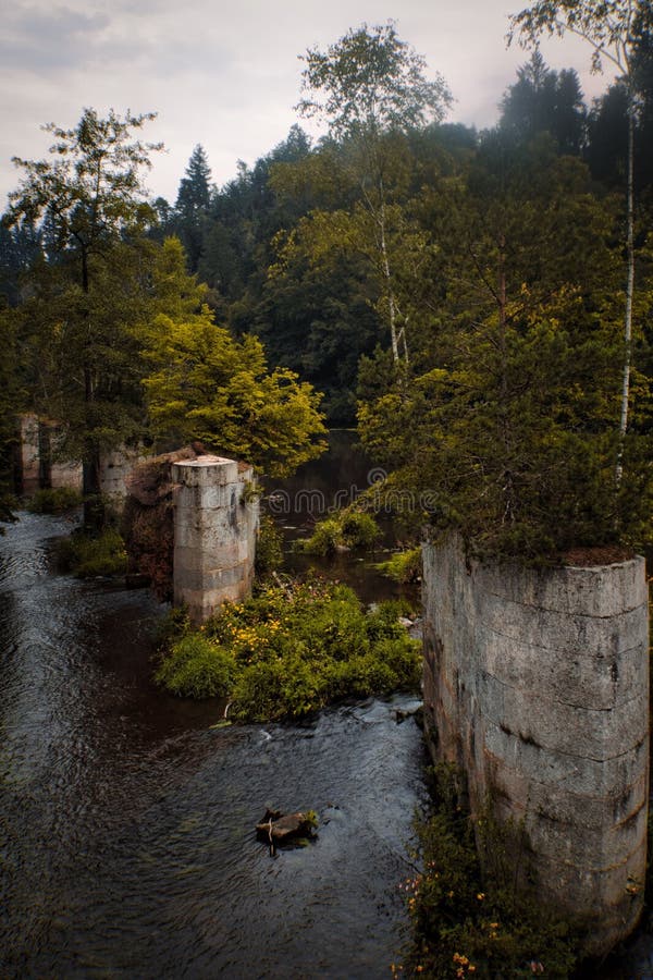 Trees Growing Over Large Rock Formations in the Woods Surrounding a ...