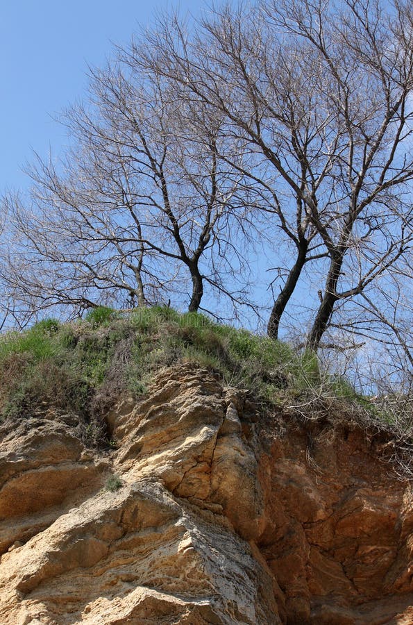 Trees growing on precipice stock image. Image of stones - 30830141