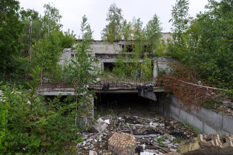 Trees Growing on the Roof. a Ruined Building Overgrown with Trees Stock ...