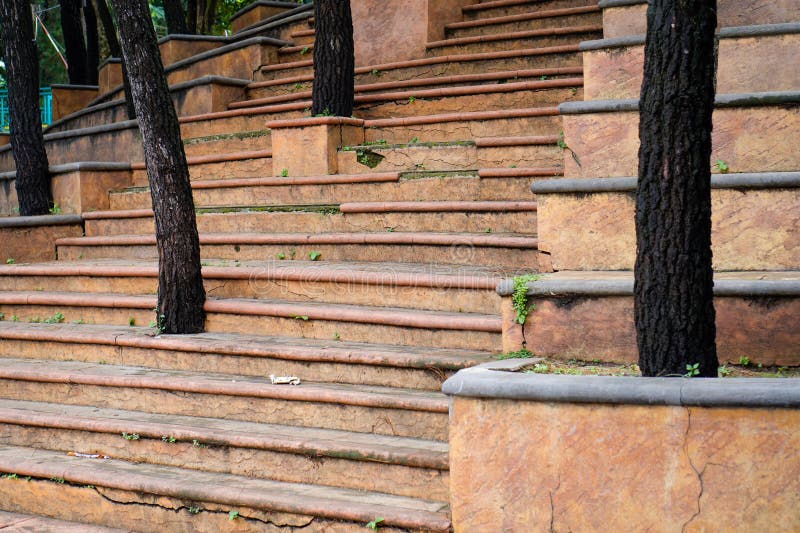 Trees Growing on the Steps of a City Park. Stock Photo - Image of ...