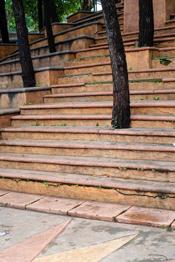 Trees Growing on the Steps of a City Park. Stock Image - Image of ...