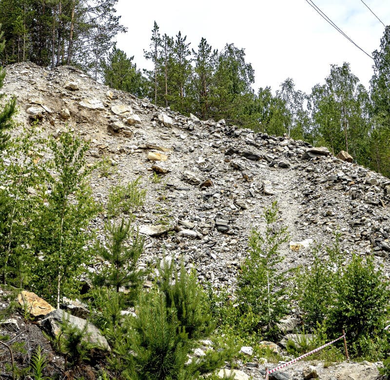 Trees Growing on the Stone Slopes of the Mountains Stock Photo - Image ...