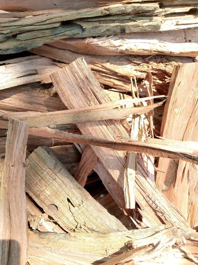 Trees that Have Been Processed To Be Used As Fuel Stock Image - Image ...