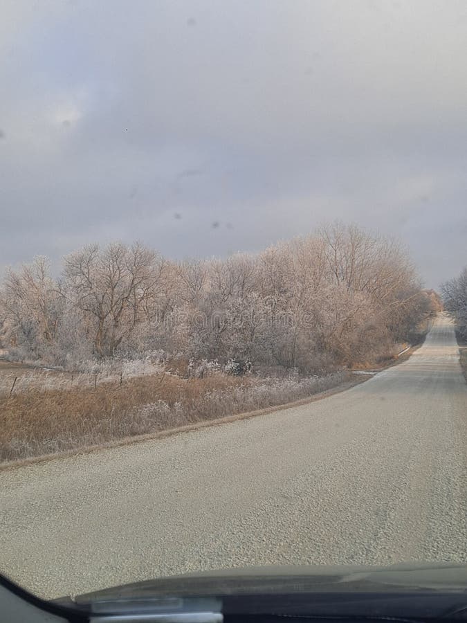 A Heavy Frost Backlight by Winters Sunshine Stock Photo - Image of tone ...