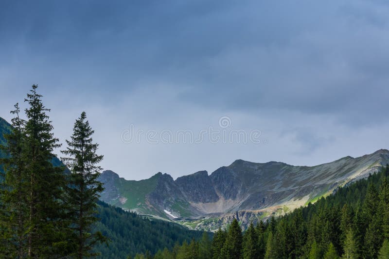 Trees and High Mountain Range in the Nature Stock Image - Image of ...