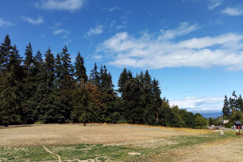 Trees High in the Mountains on a Sunny Day Stock Photo - Image of high ...