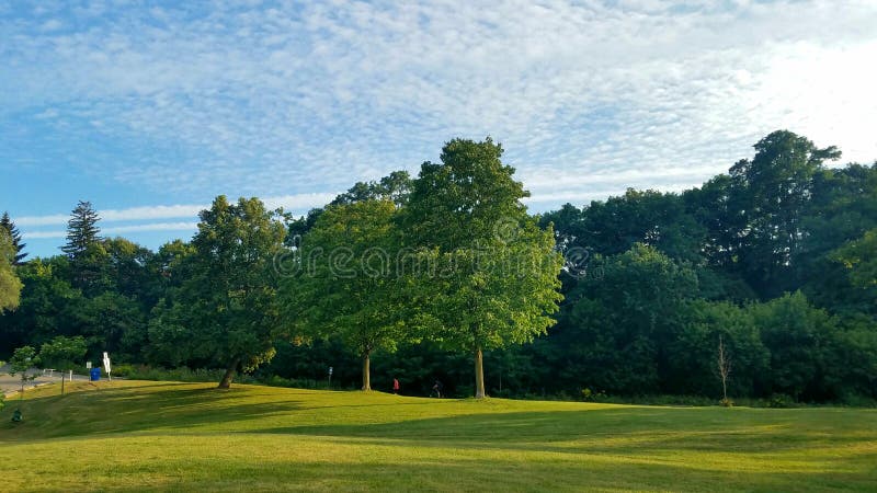 Trees in High Part Toronto stock image. Image of peaceful - 235826569