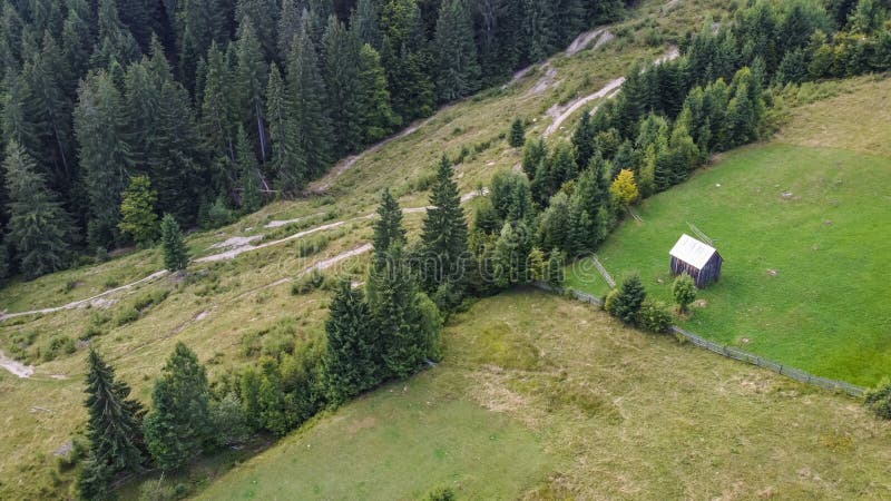 Trees on Hill stock photo. Image of secular, hill, view - 233356690