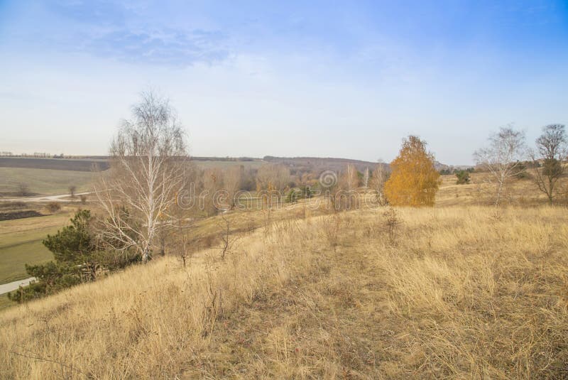 Trees on Hill, Beautiful Landscape Stock Photo - Image of wilderness ...