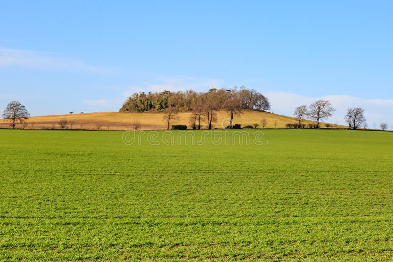 Trees on a hill stock image. Image of blue, fields, farmland - 107121773
