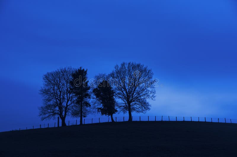 Trees on a hill at night stock image. Image of trees - 52832345