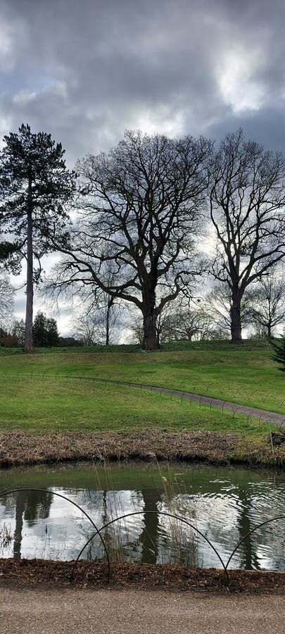 Trees on a Hill Overlooking a Pond. Stock Photo - Image of overlooking ...