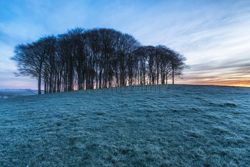 Trees on a Hilltop stock photo. Image of copse, pretty - 48233158