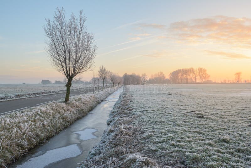 1,499 Hoarfrost Oisterwijk Netherlands Stock Photos - Free & Royalty ...
