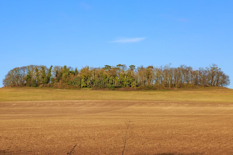 Trees on the Horizon stock image. Image of fields, agriculture - 106945985