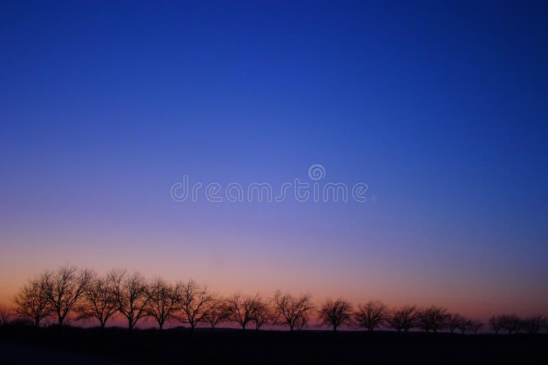 Trees on Horizon at Sunset Ver1 Stock Photo - Image of drive, scenic ...