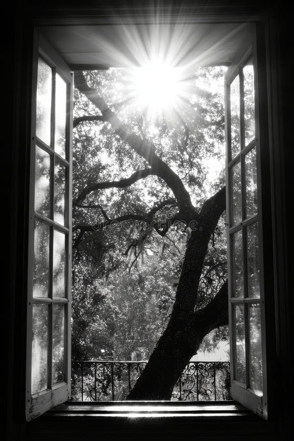 Trees and a House Come into View As Sunlight Streams through a Window ...