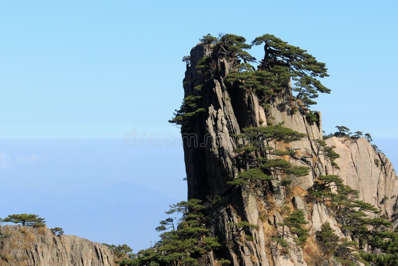Trees on Huangshan Mountain China Stock Image - Image of rocks, tree ...