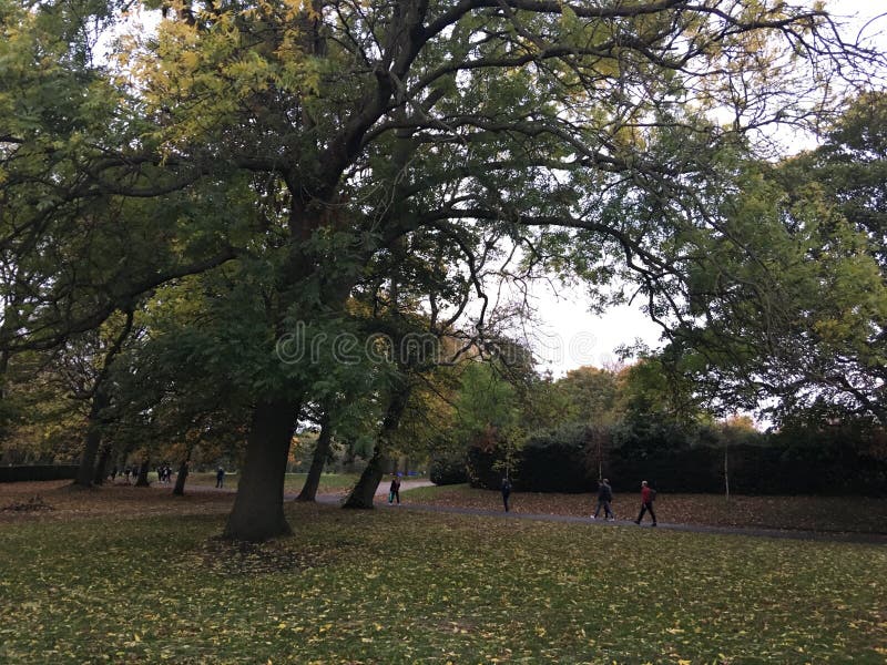 Leeds stock photo. Image of leeds, greatbritain, britain - 127570690