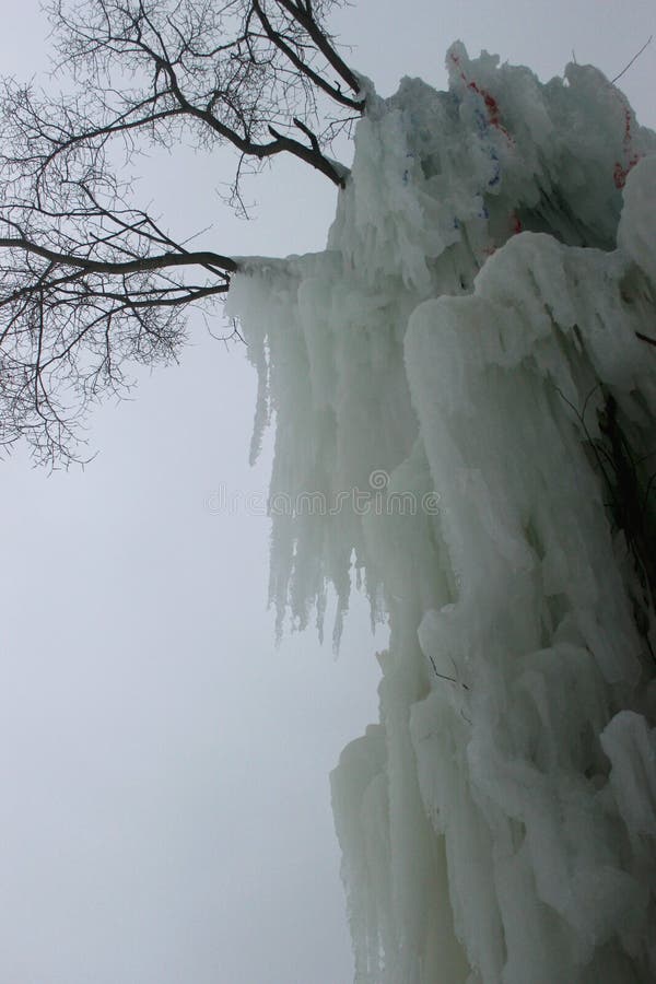 Trees in ice by the river stock image. Image of travel - 173297139