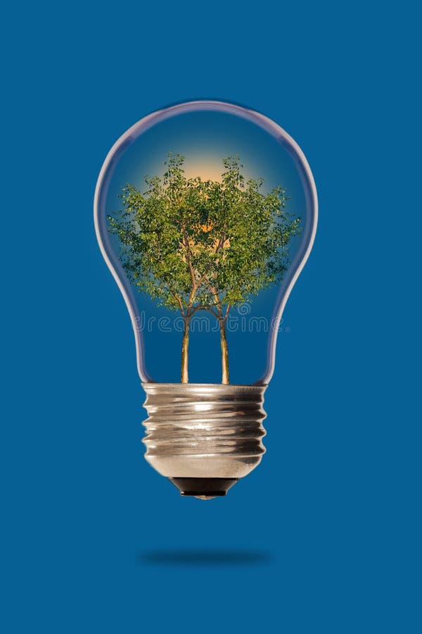 Trees inside a light bulb stock image. Image of electric - 63487831