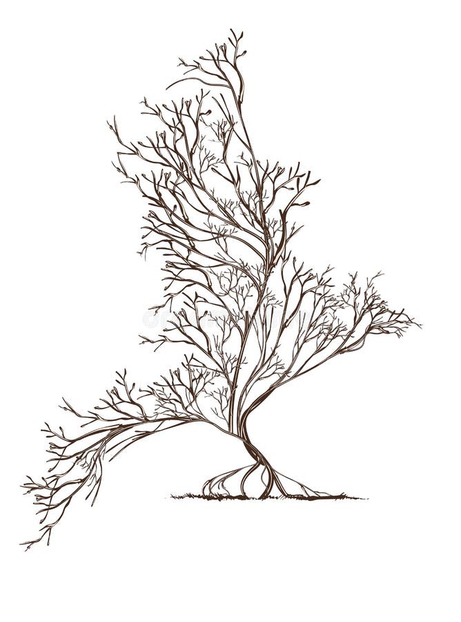 Intertwined Trees Stock Illustrations – 141 Intertwined Trees Stock ...