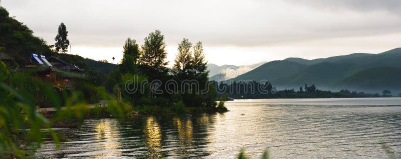 Trees Inverted Reflection in Water Stock Image - Image of beauty ...