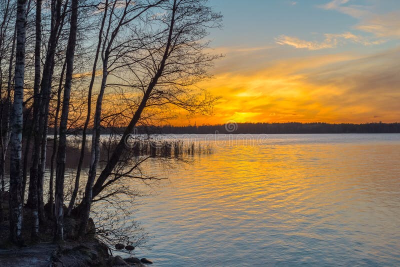 Sunset Through The Trees On The Lake Stock Photo - Image of cottage ...