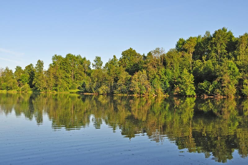Trees on Lake Bank in the Evening Stock Image - Image of reflection ...