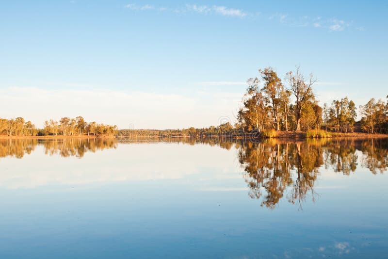Trees in the lake stock photo. Image of beautiful, morning - 32593526