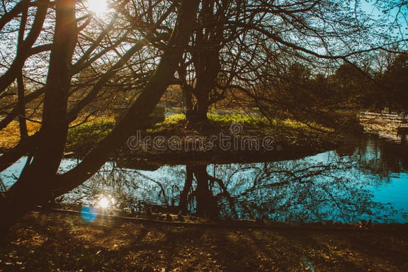 Trees and Lake in the Park in Spring. Nature is Waking Up Stock Image ...