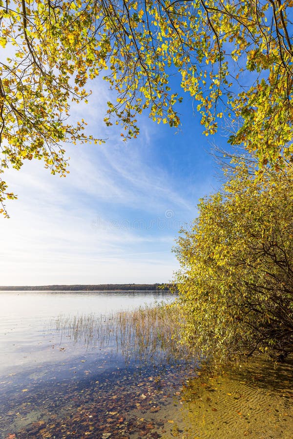 Trees on Lake Plauer See in the Town of Plau am See, Germany Stock ...