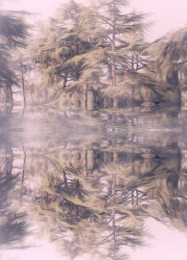 Trees in lake reflection stock illustration. Illustration of trees ...